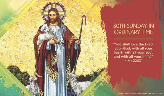 30th Sunday in Ordinary Time | Our Lady of Mercy | Sunderland, United Kingdom